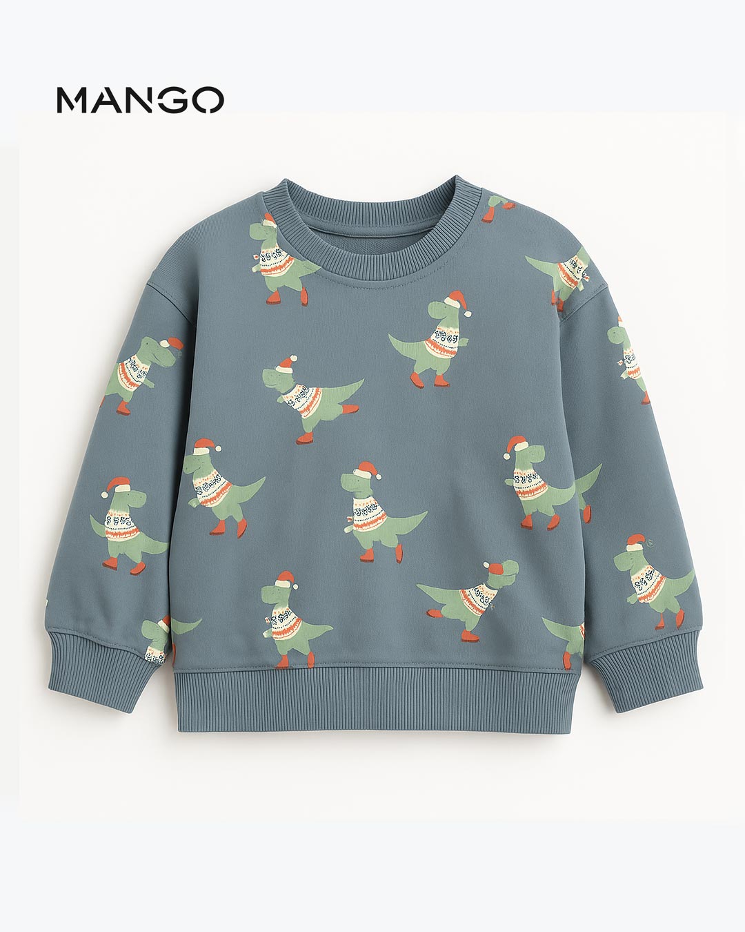 MANGO GREY DINO PRINTED SWEATSHIRT – PEEKABOO.PK